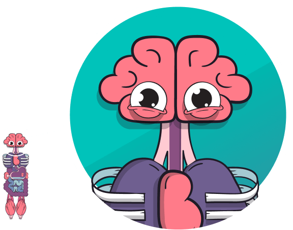 About – Vegemi